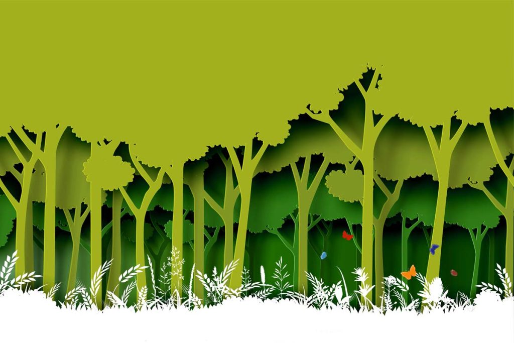 Rethinking Sustainability From a Life-centric Perspective – A Bigger Conversation