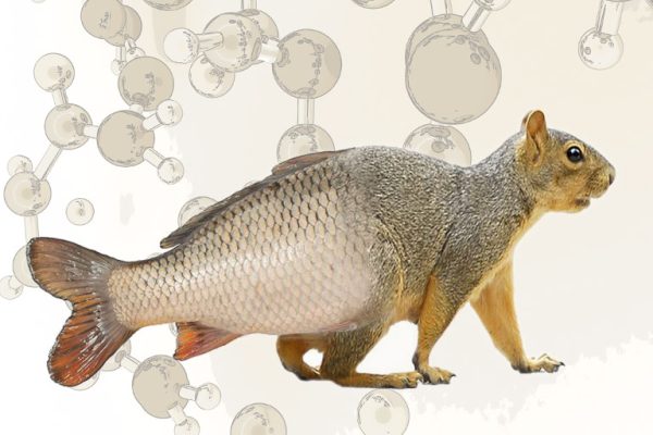 Gene Editing is Pollution – A Bigger Conversation